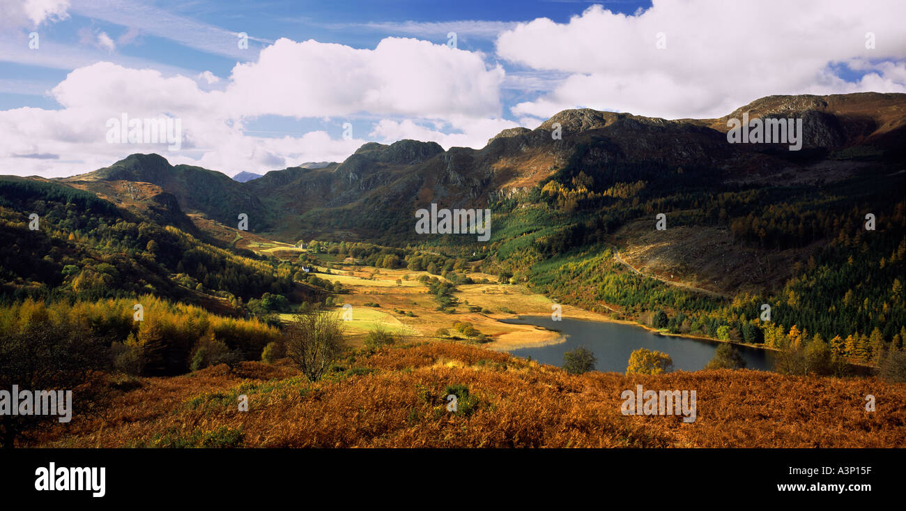 Llyn Crafnant and Creigiau Gleision Gwydyr Forest Conwy 49135PA Stock ...