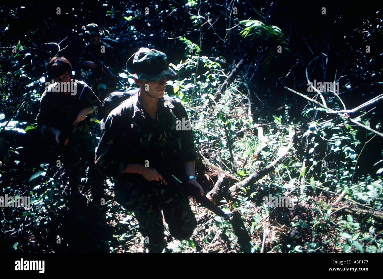 Jungle Patrol South Belize SB Stock Photo - Alamy