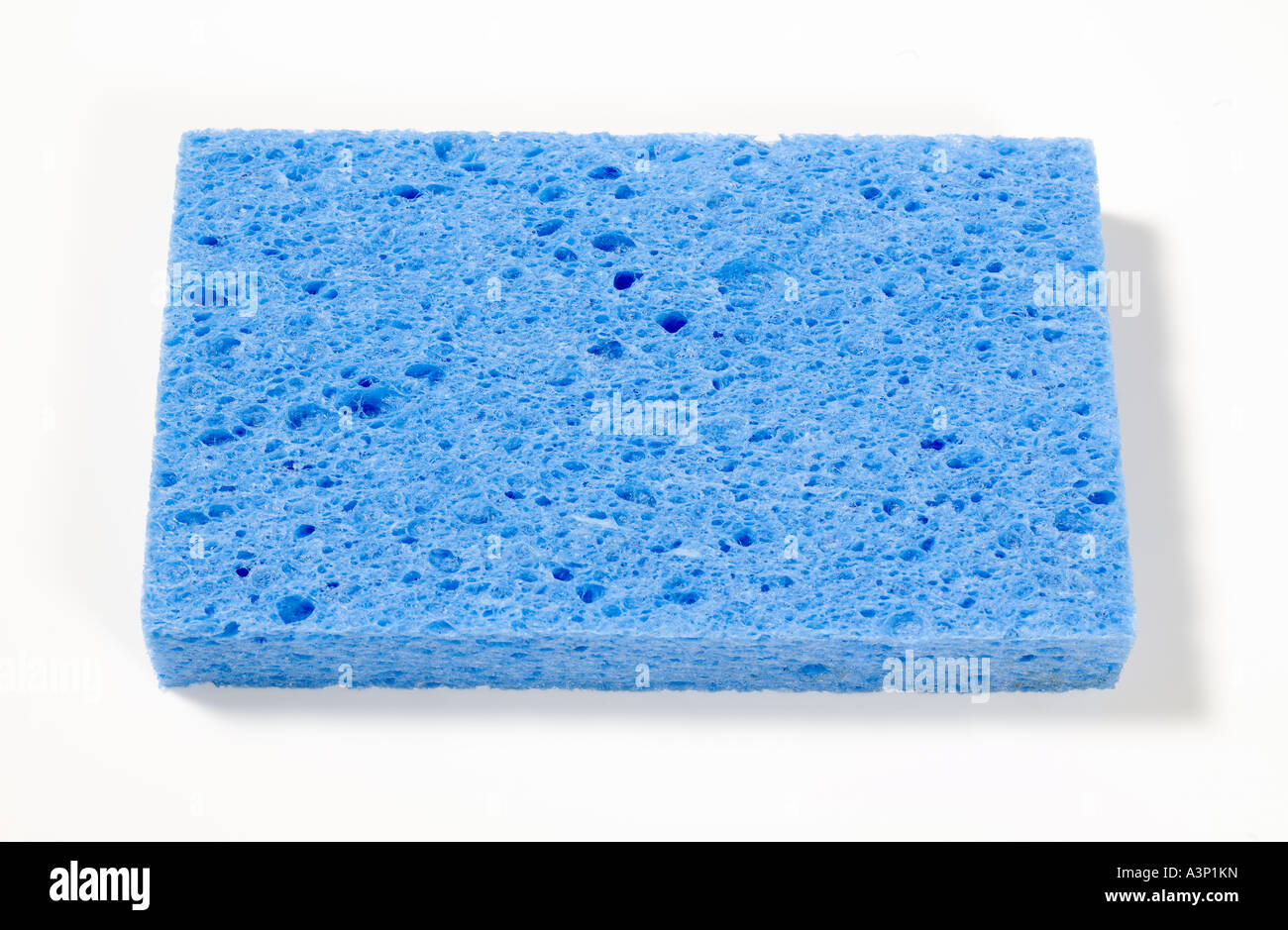 Common sponge hi-res stock photography and images - Alamy