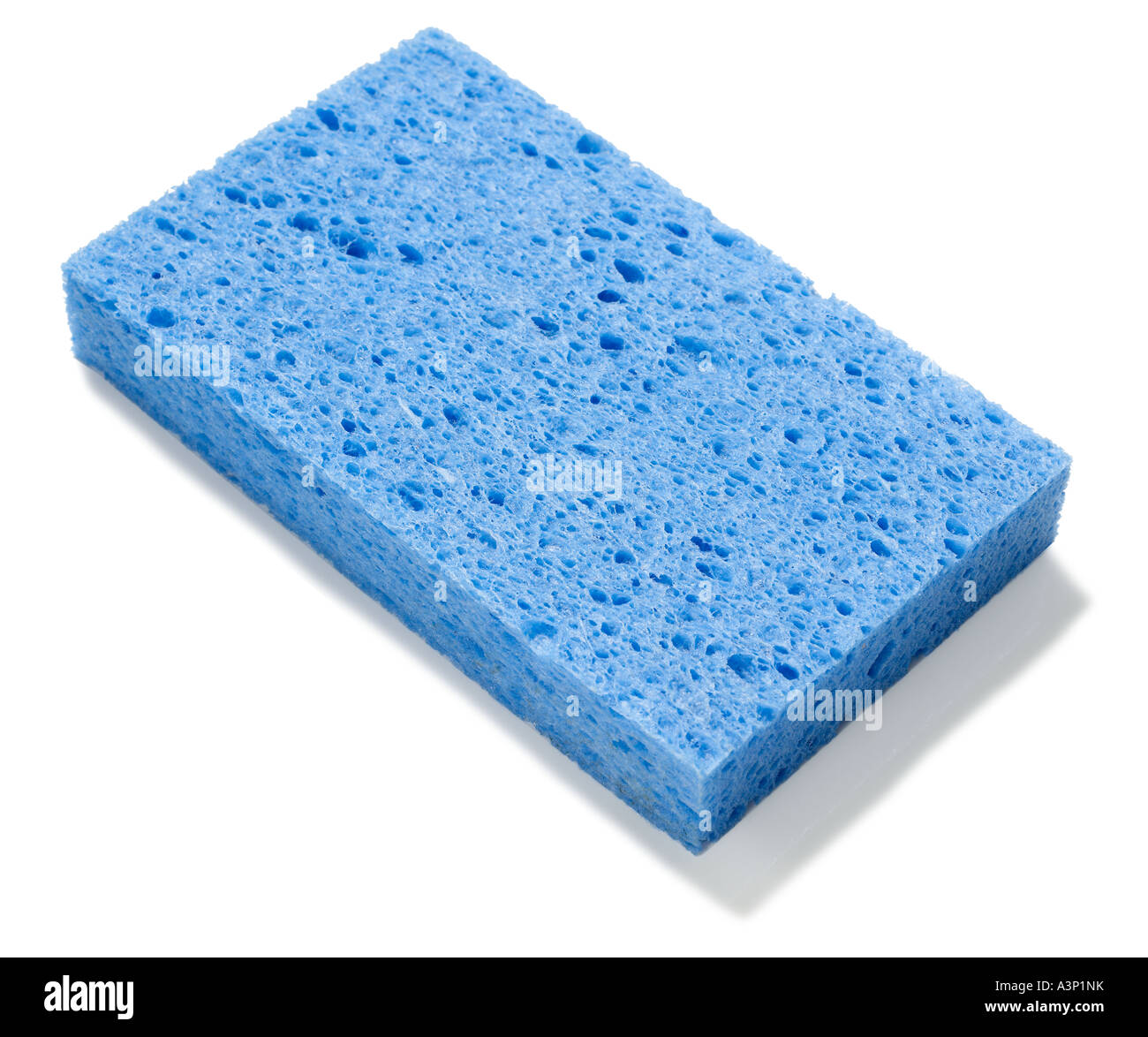 Common sponge hi-res stock photography and images - Alamy