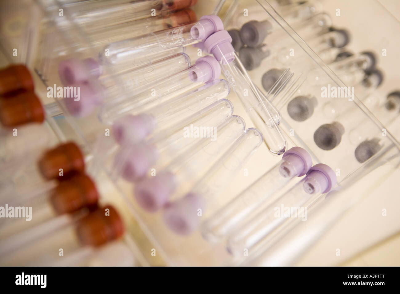 Empty test tubes Stock Photo - Alamy