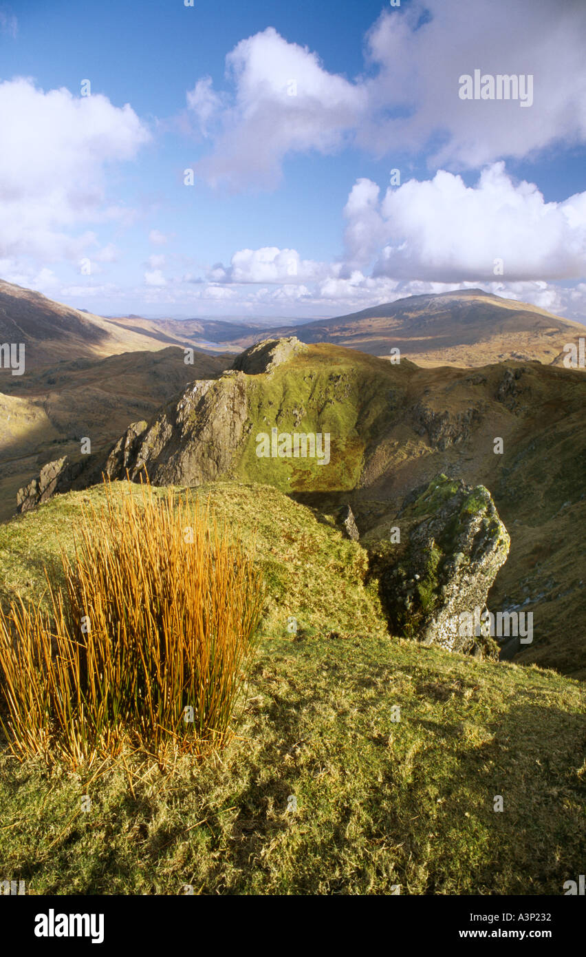 View of Snowdon Mountain from the Pyg Track Snowdonia Gwynedd 49106PA ...