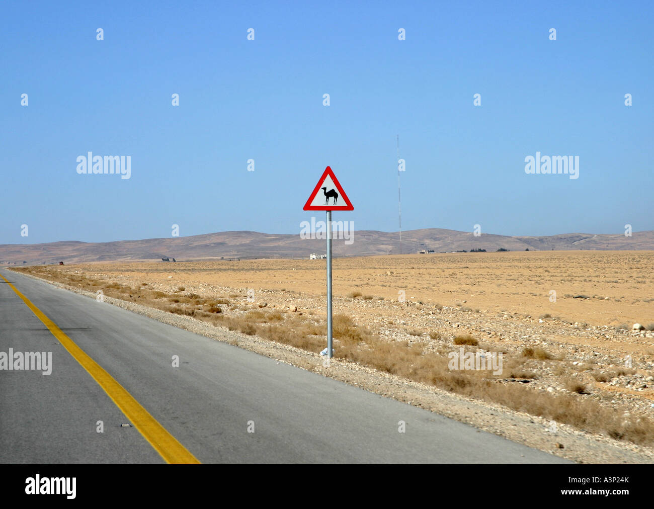 Camel beware road sign on the King's Highway Jordan Stock Photo - Alamy