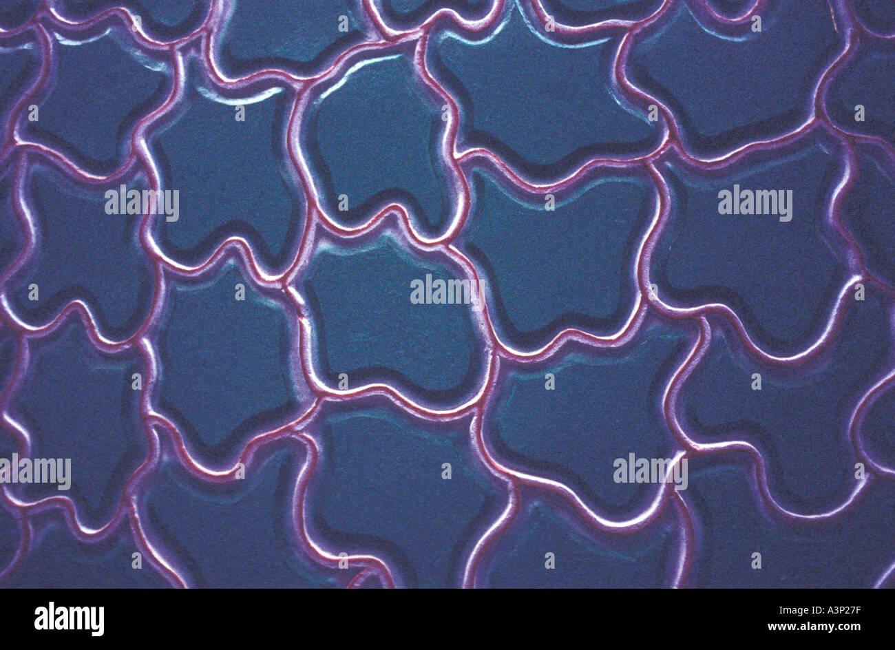 Tiling ideas hi-res stock photography and images - Alamy