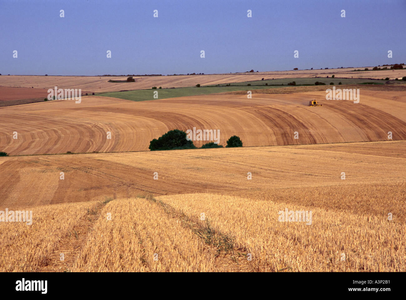 View of harvested corn fields showing field patterns Combine Beggars ...