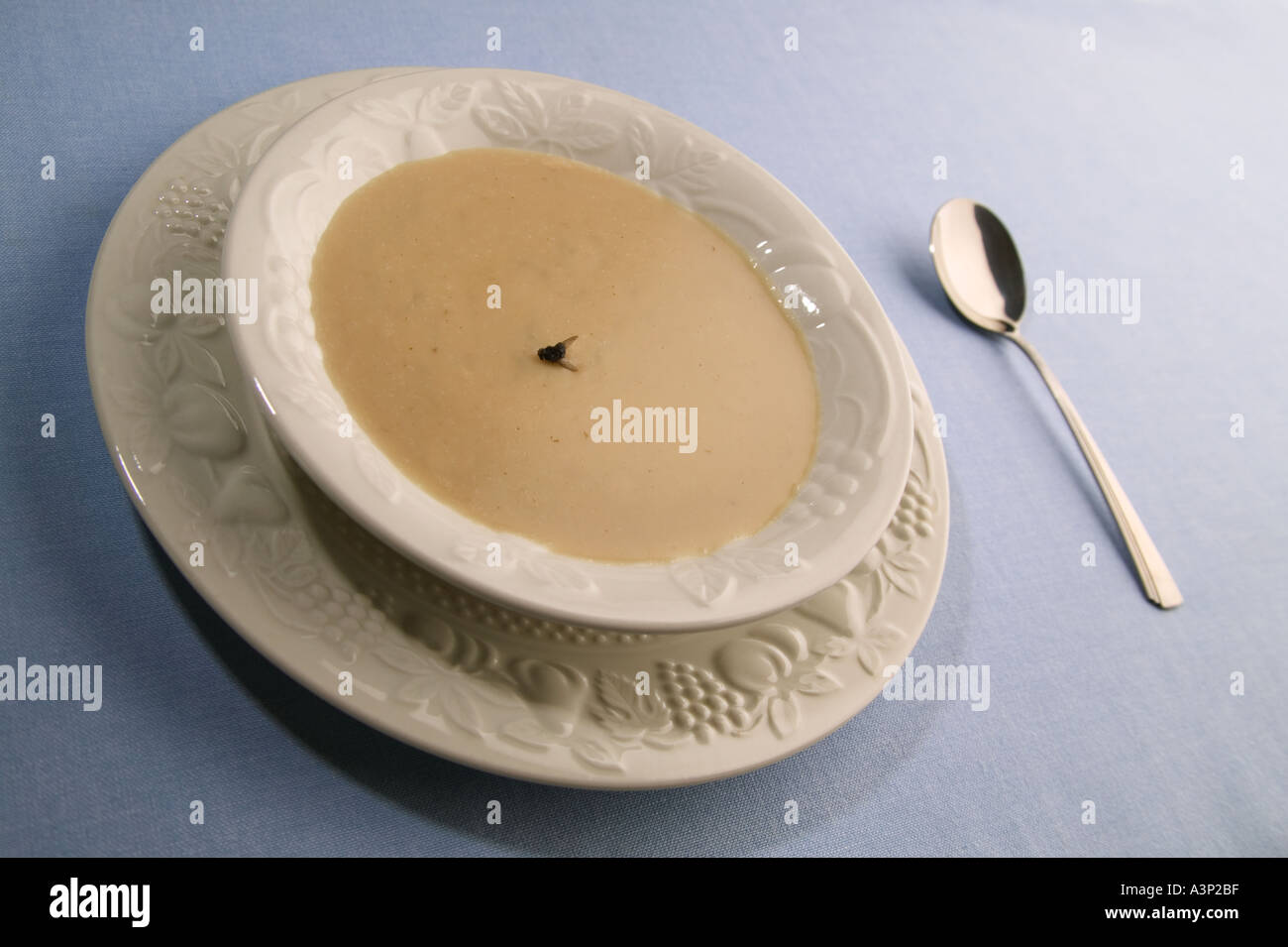 Fly in Soup Stock Photo - Alamy