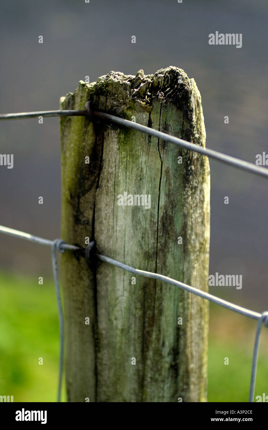 Barreer hi-res stock photography and images - Alamy