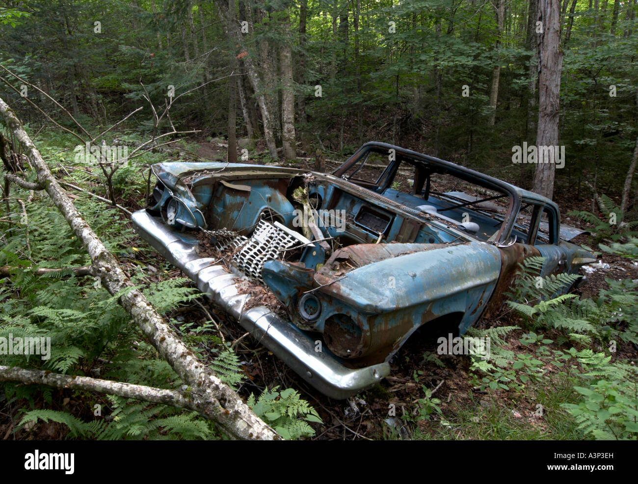 Junk abandoned car in the woods in the Adirondack Mounatins of New York State Stock Photo - Alamy