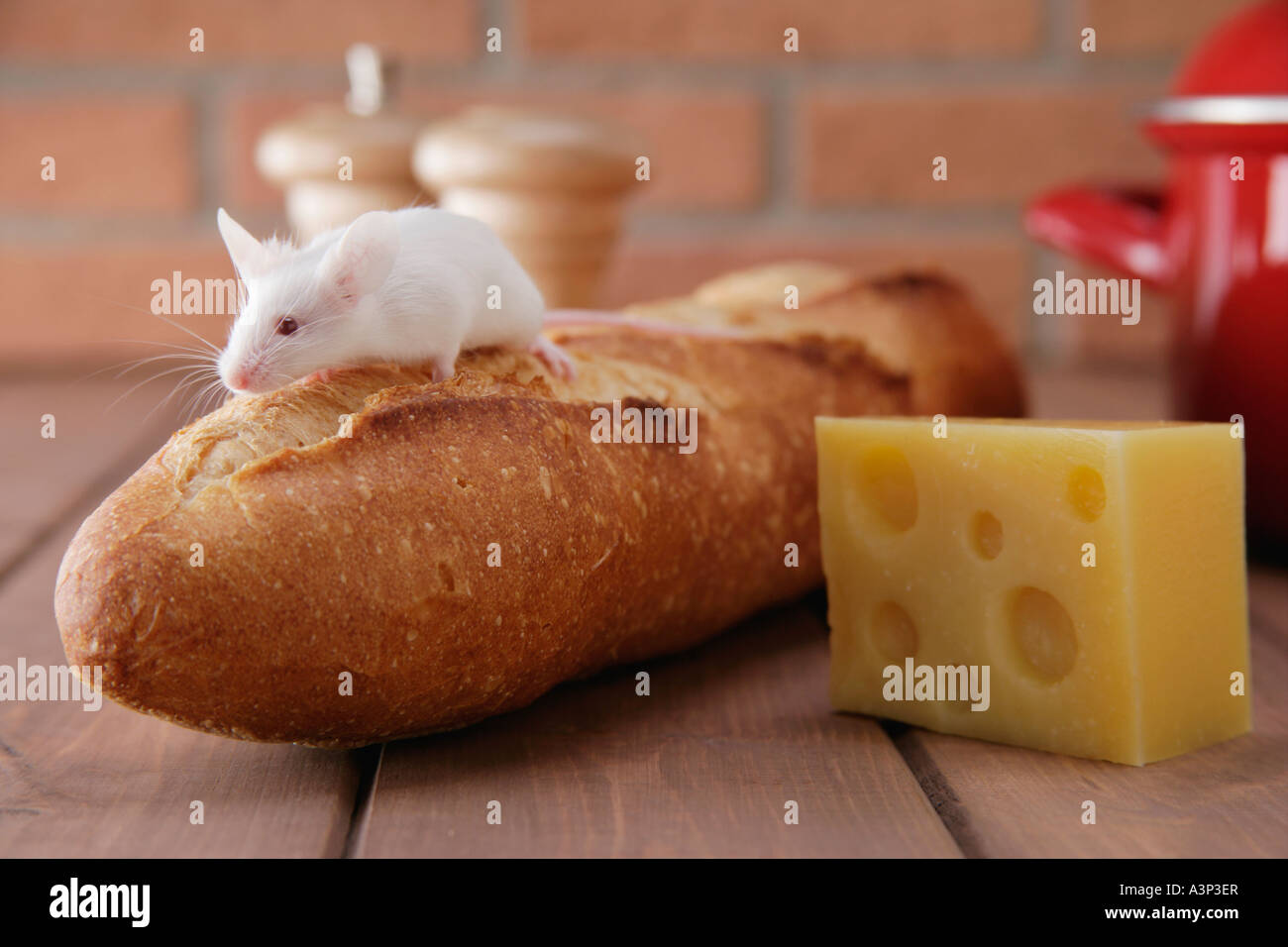 A mouse on top of bread Stock Photo - Alamy