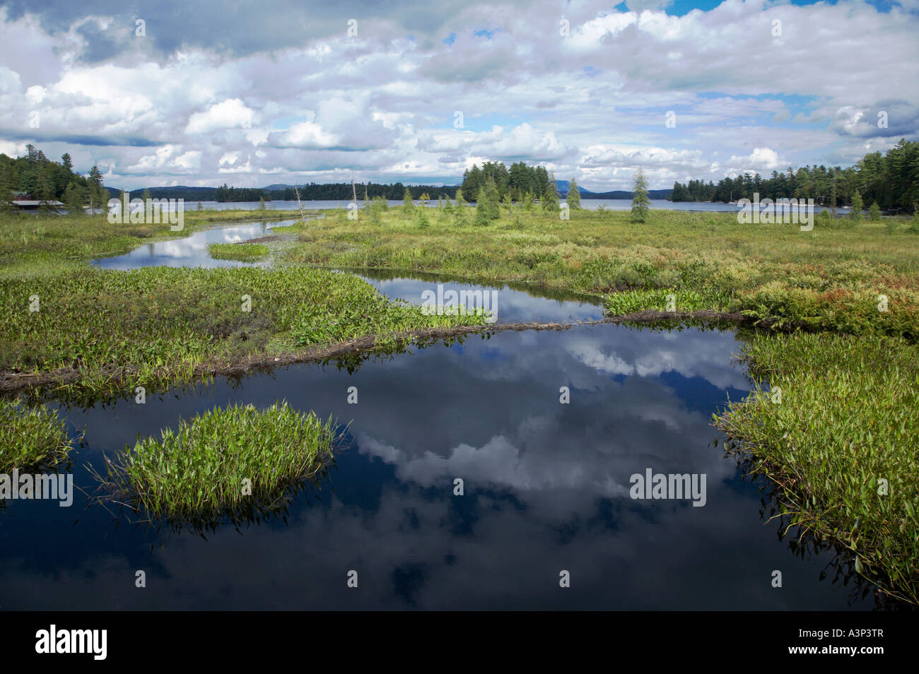 Raquette Lake inlet in the Adirondack Mountains State Park in New York ...