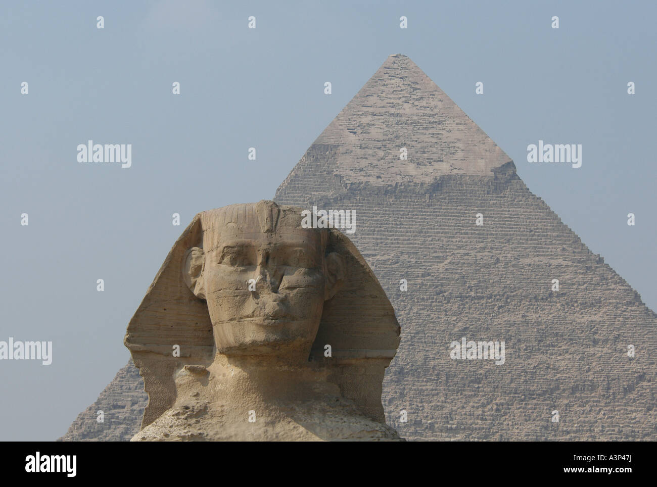 Head of the Sphinx and the Pyramid of Chephren in Giza near Cairo ...