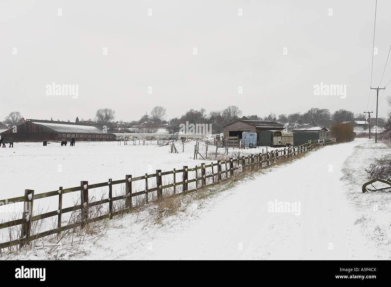 Chicken wire fence fencing hi-res stock photography and images - Alamy
