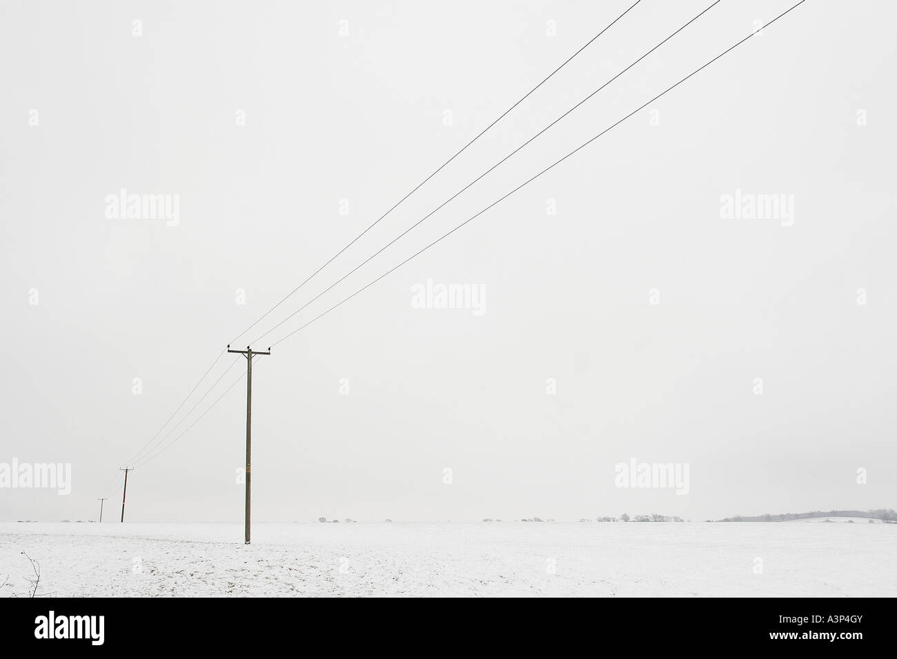Wood telephone poles hi-res stock photography and images - Alamy