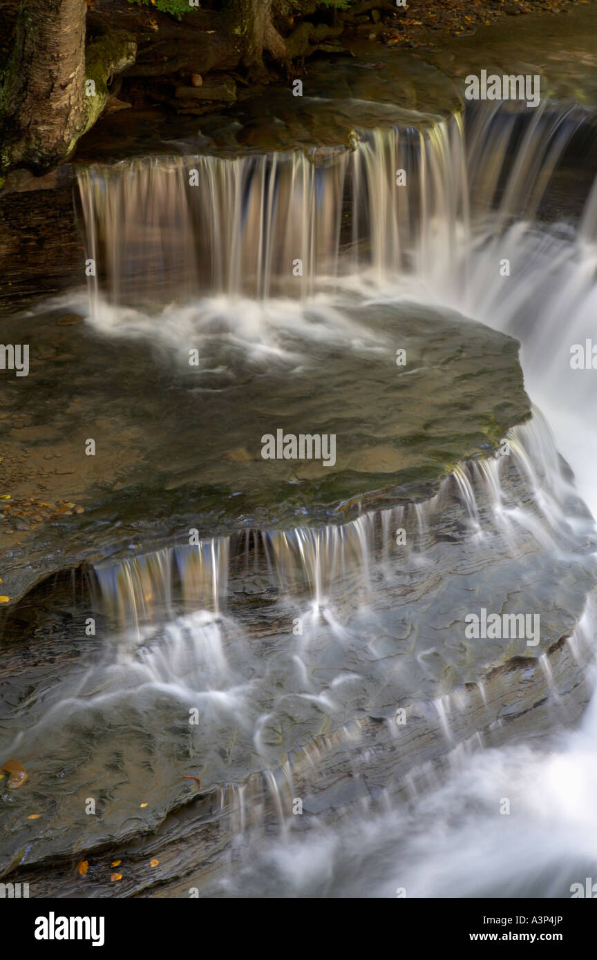 Stony brook state park hi-res stock photography and images - Alamy