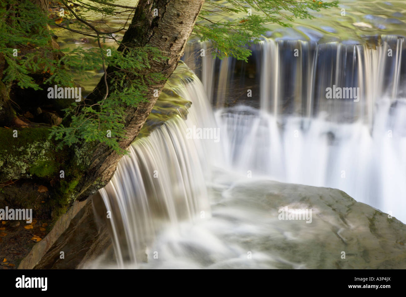Stony Brook running thought Stony Brook Glen in Stony Brook State Park ...
