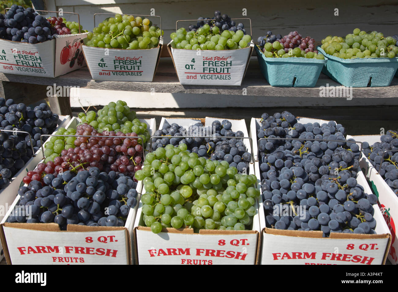 Niagara Concord and Delaware grapes in containers at roadside stand in ...