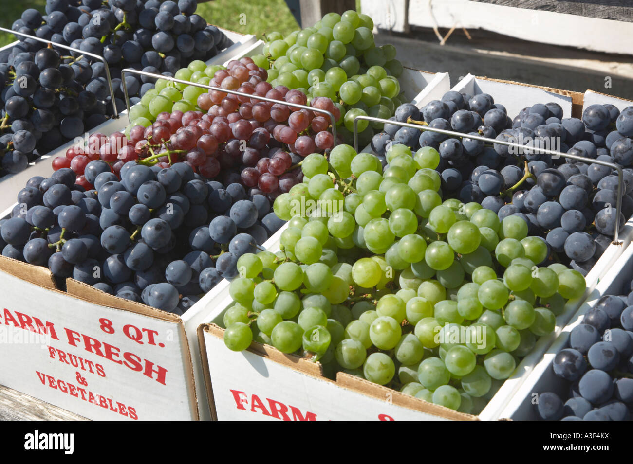 Niagara Concord and Delaware grapes in containers at roadside stand in ...