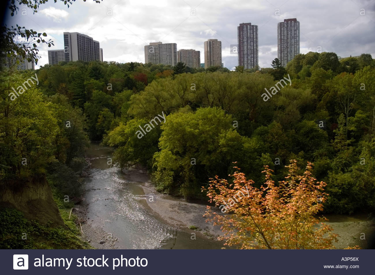 Ravine Toronto High Resolution Stock Photography and Images - Alamy