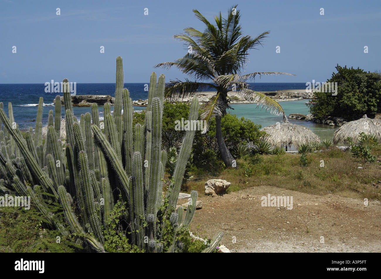 Playa canoa curacao hi-res stock photography and images - Alamy