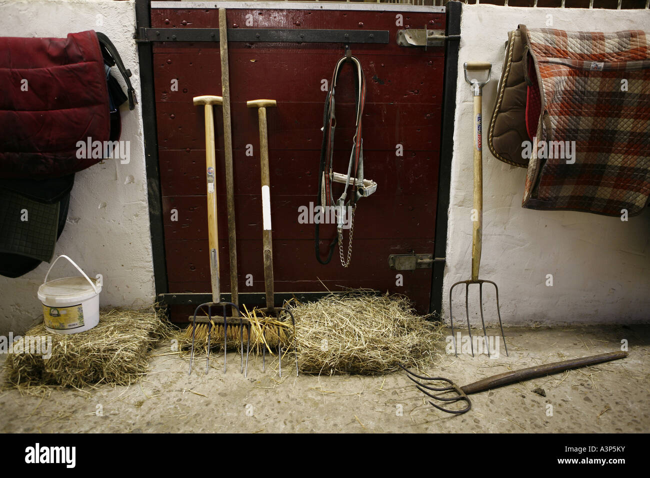 Stable life hi-res stock photography and images - Alamy