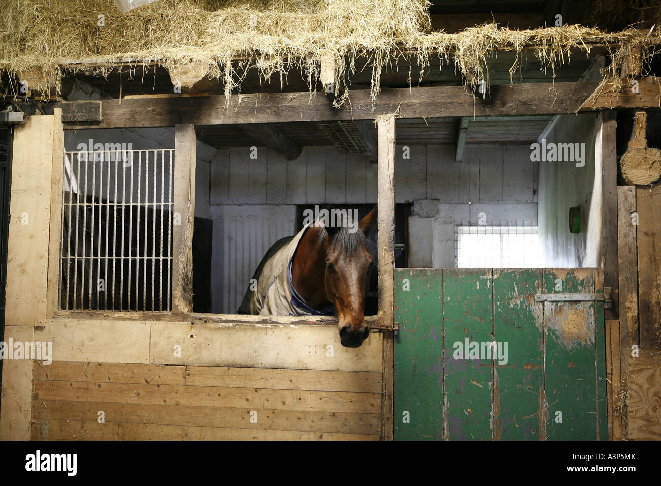Traditional stable hi-res stock photography and images - Alamy