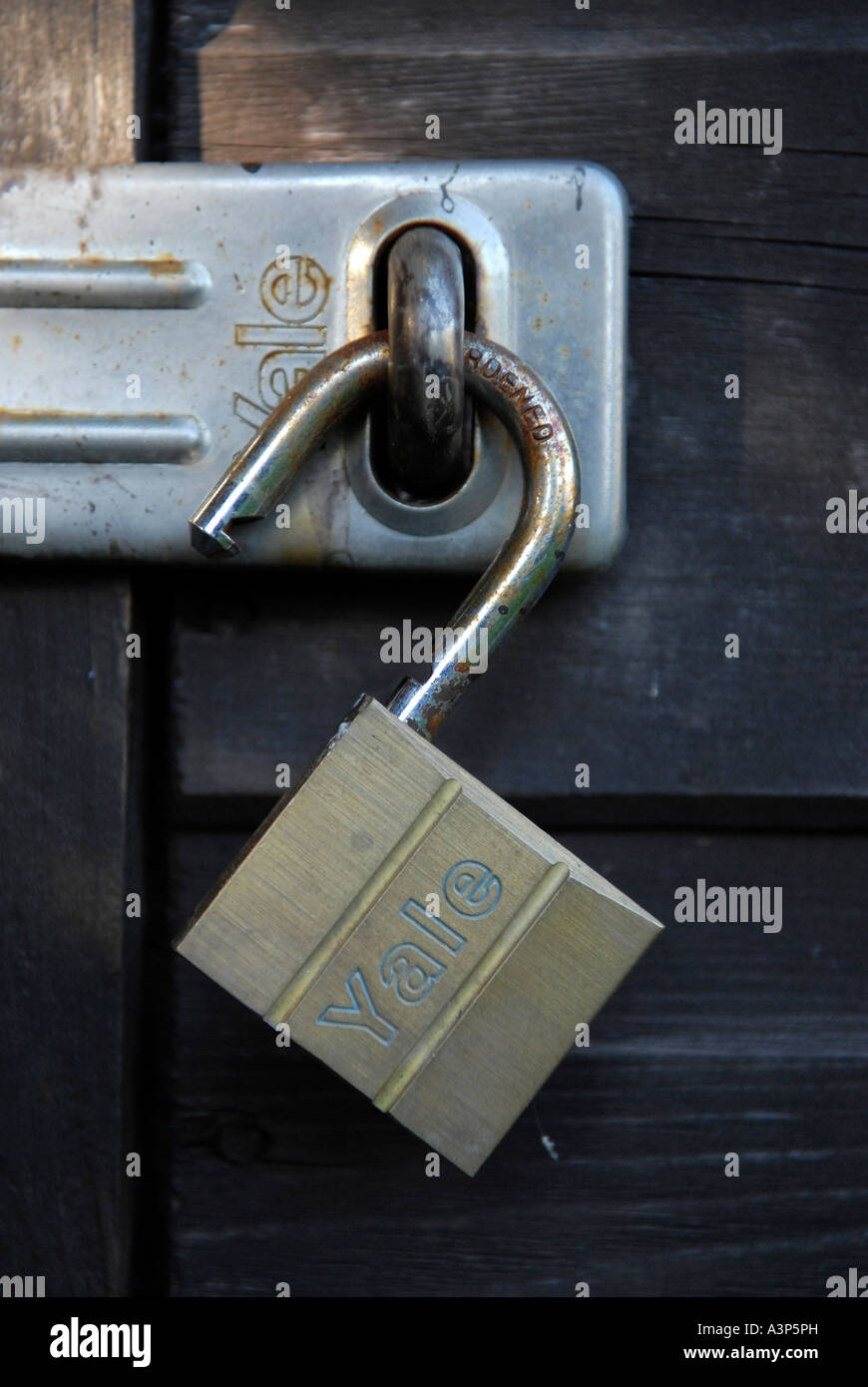 A Yale padlock on a garden shed Stock Photo - Alamy