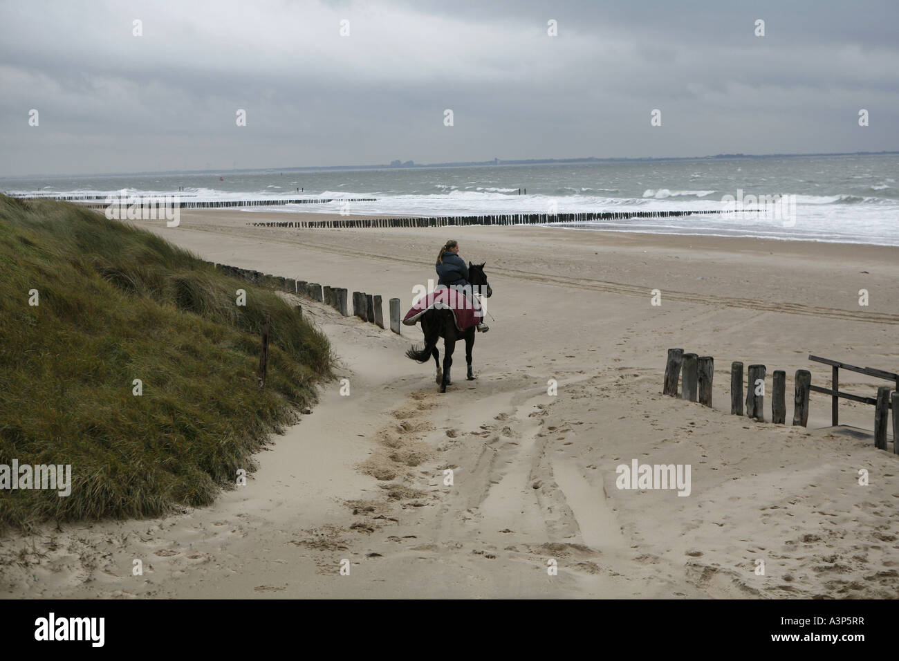Riding horse in storm hi-res stock photography and images - Alamy