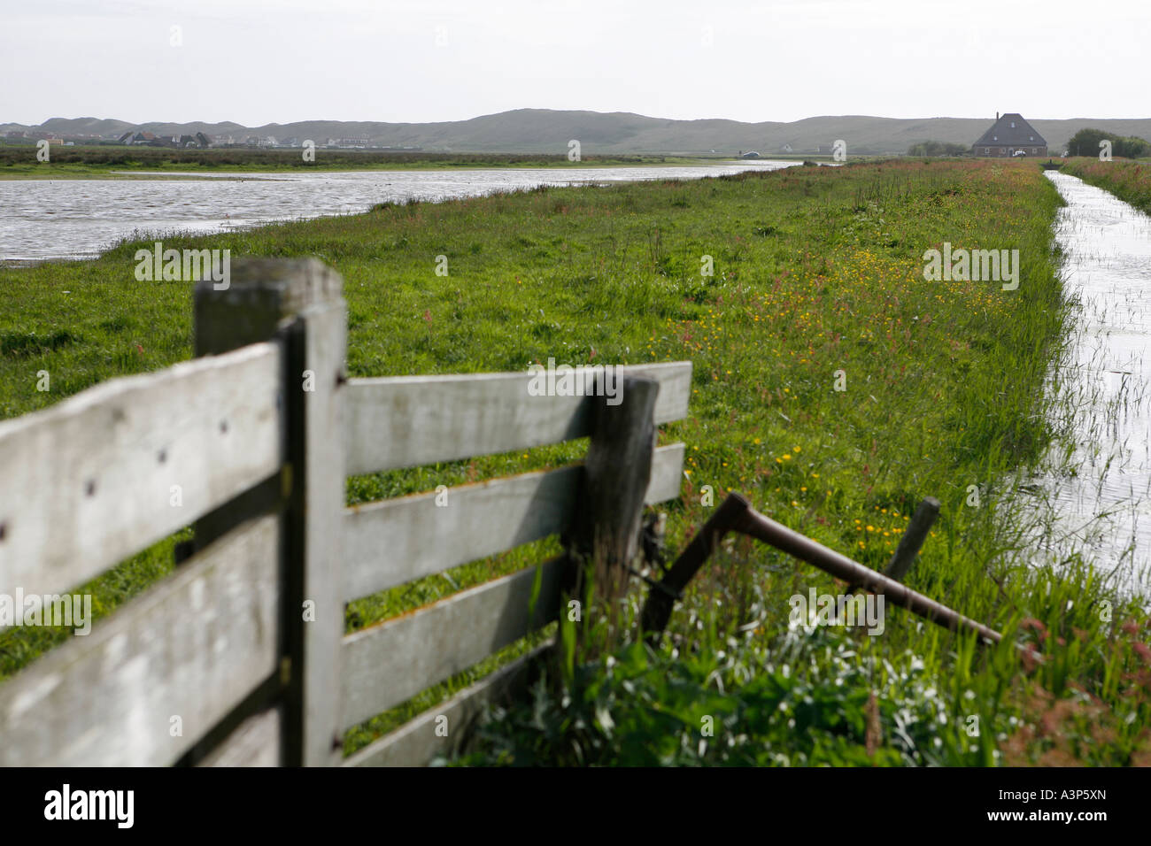 Typical landscape the netherlands hi-res stock photography and images ...