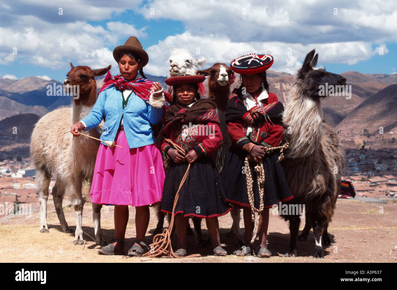 Three lamas hi-res stock photography and images - Alamy