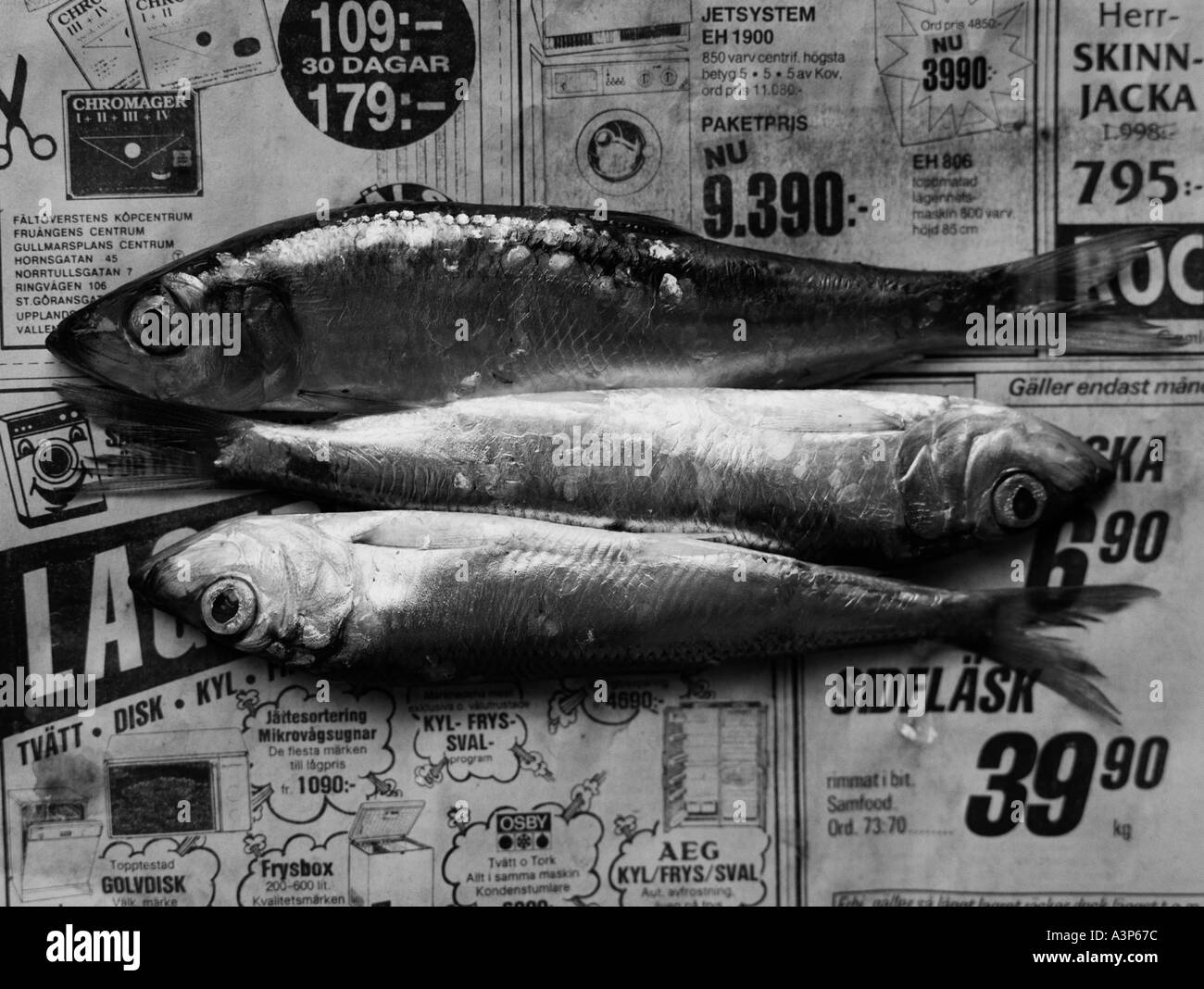 Some fish on a newspaper Stock Photo - Alamy