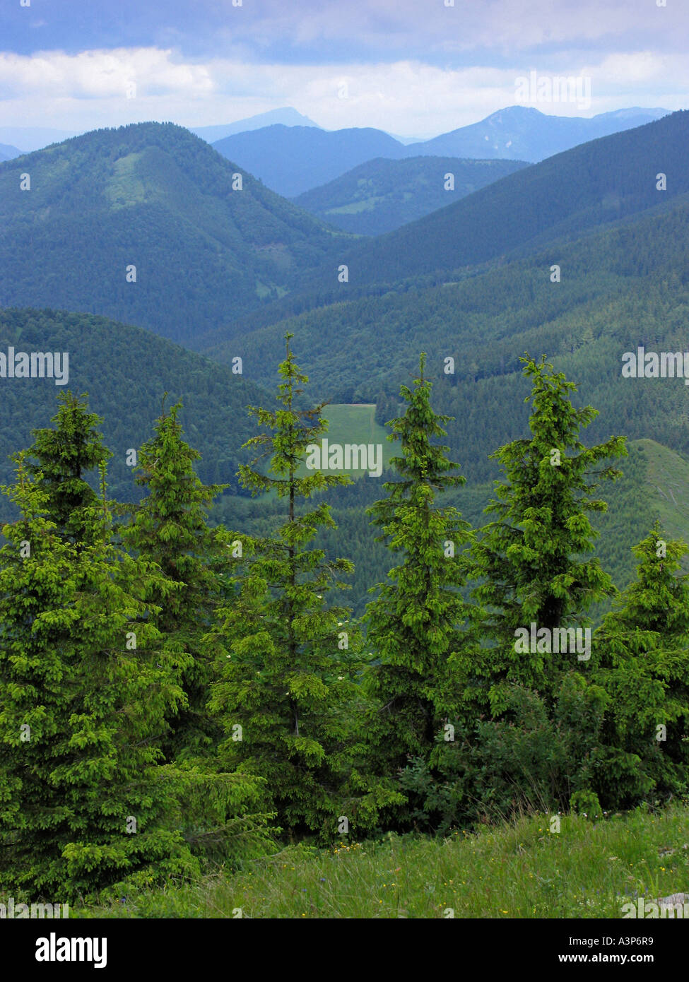 Slovakia landscape hi-res stock photography and images - Alamy