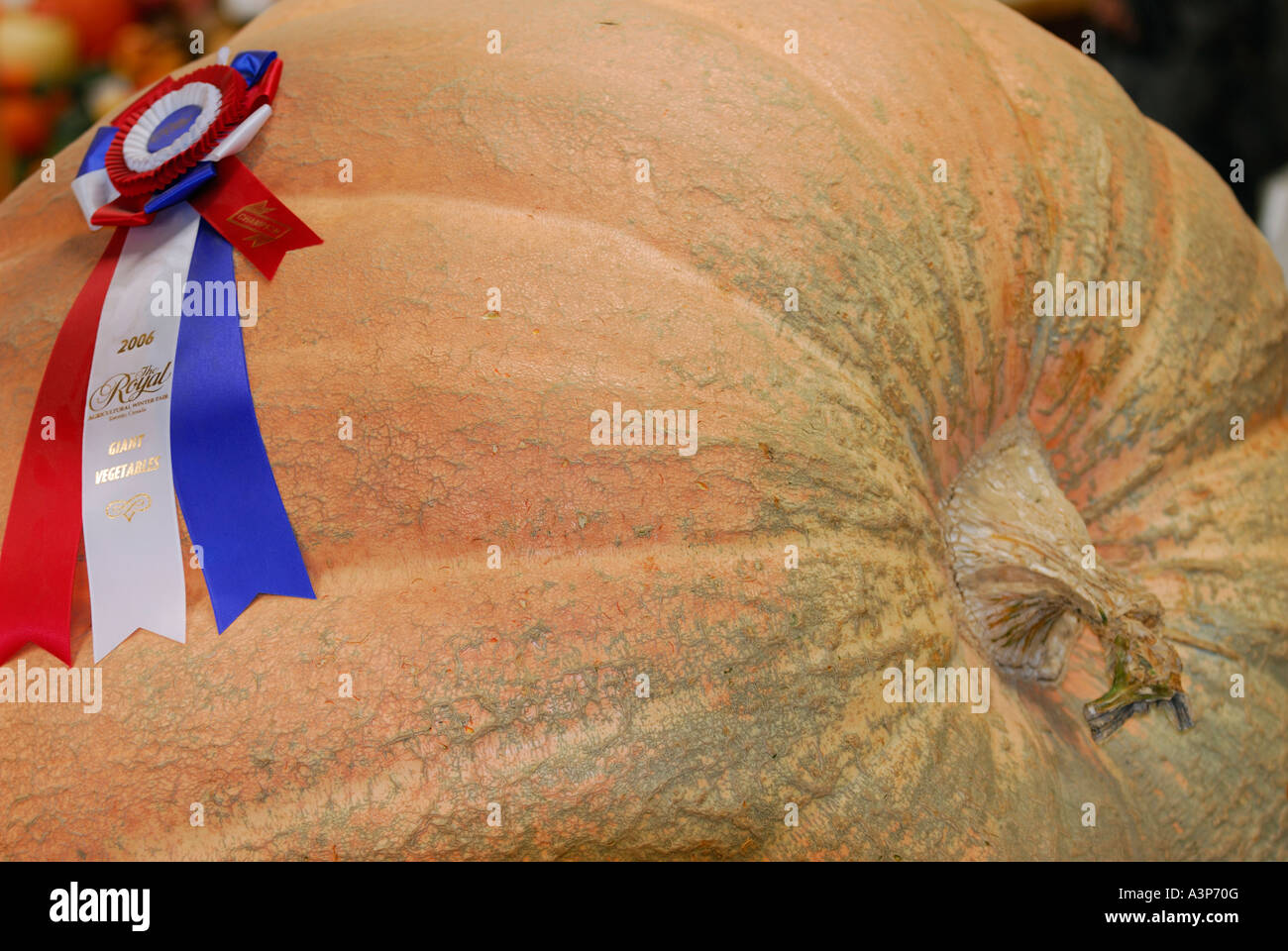 Winner of the largest pumpkin prize Royal Agricultural Winter Fair ...