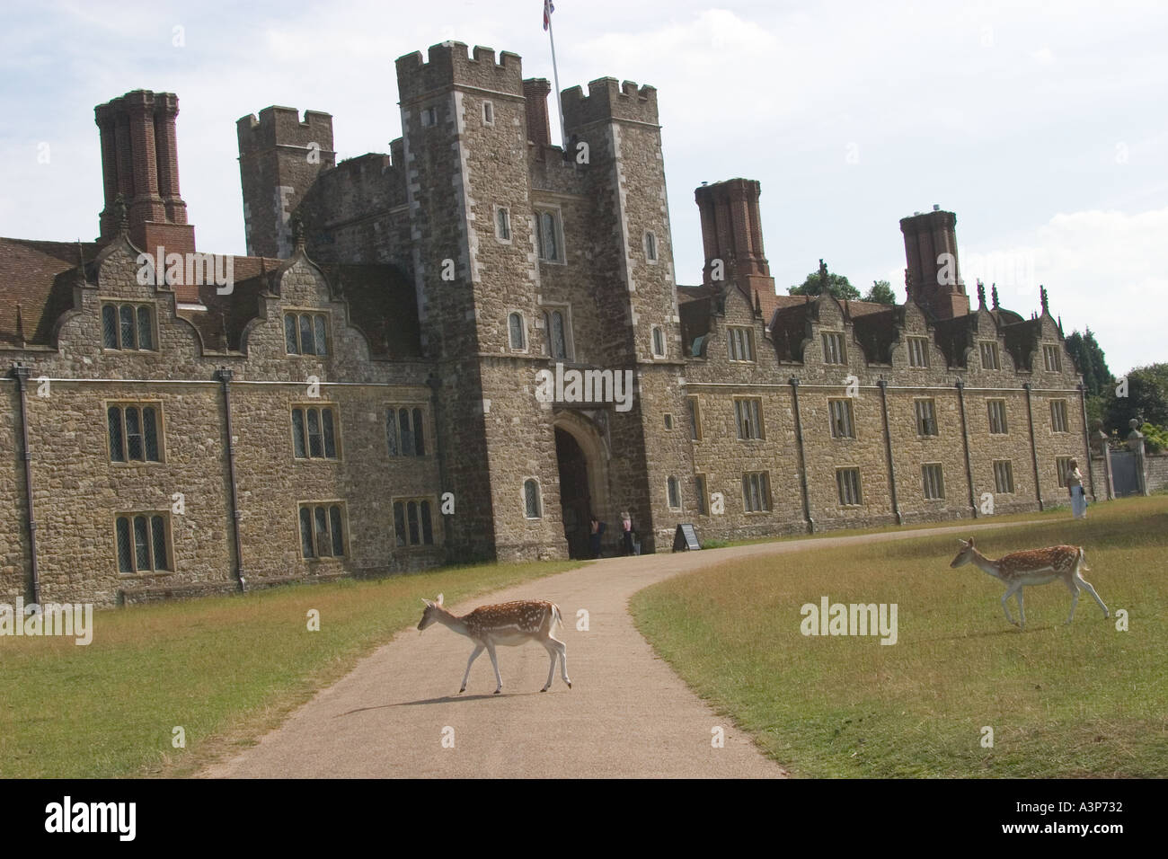 Deer in front of Knole House and Deer Park Kent UK Stock Photo - Alamy