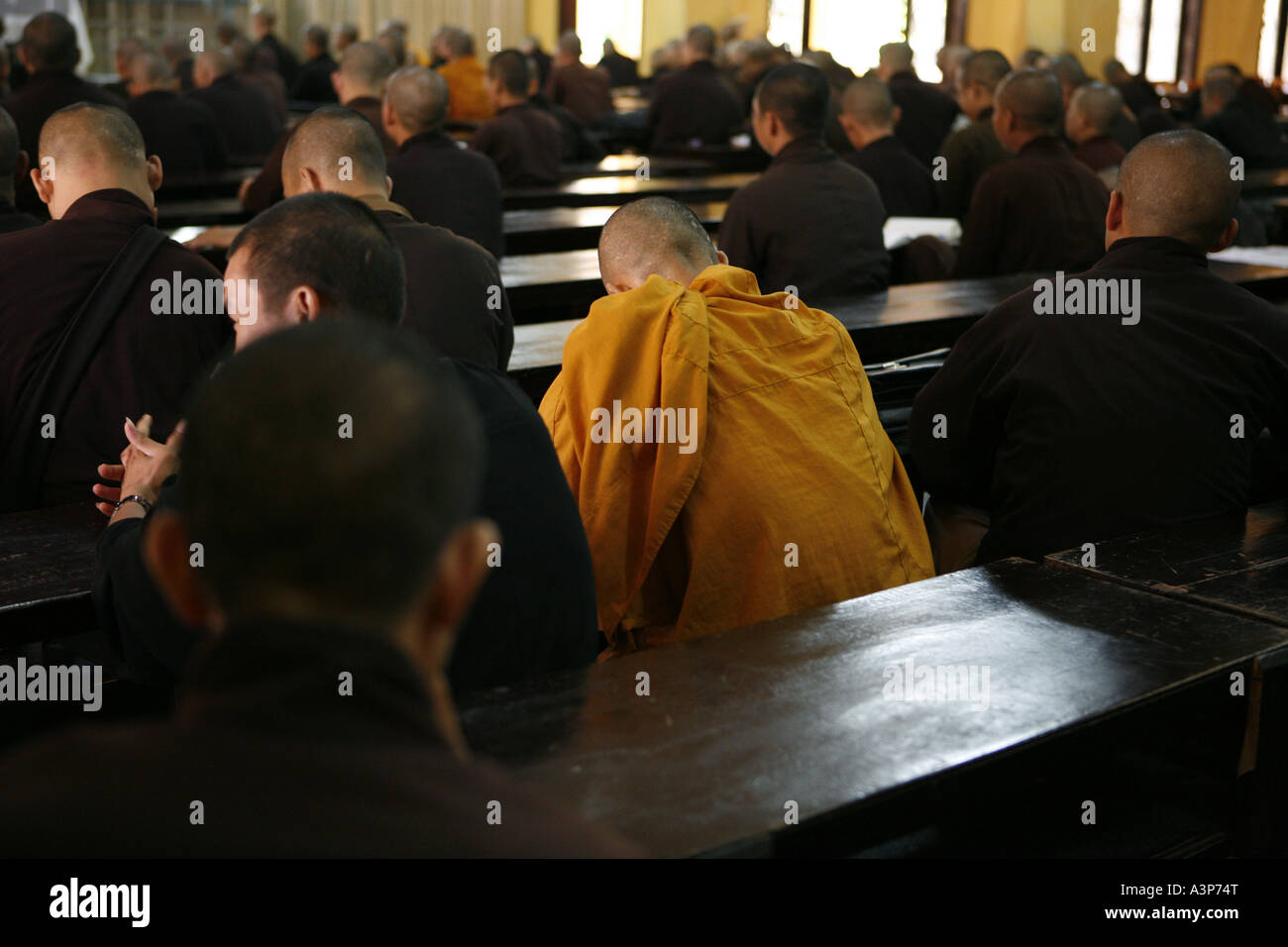 Buddhist monks during their morning lessons in a Buddhist temple school ...