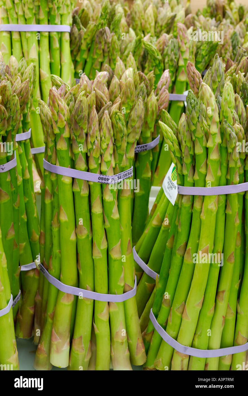 Bundles of green asparagus shoots at the market Stock Photo - Alamy