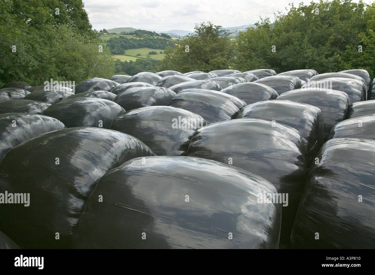 Sealing plastic bags hi-res stock photography and images - Alamy