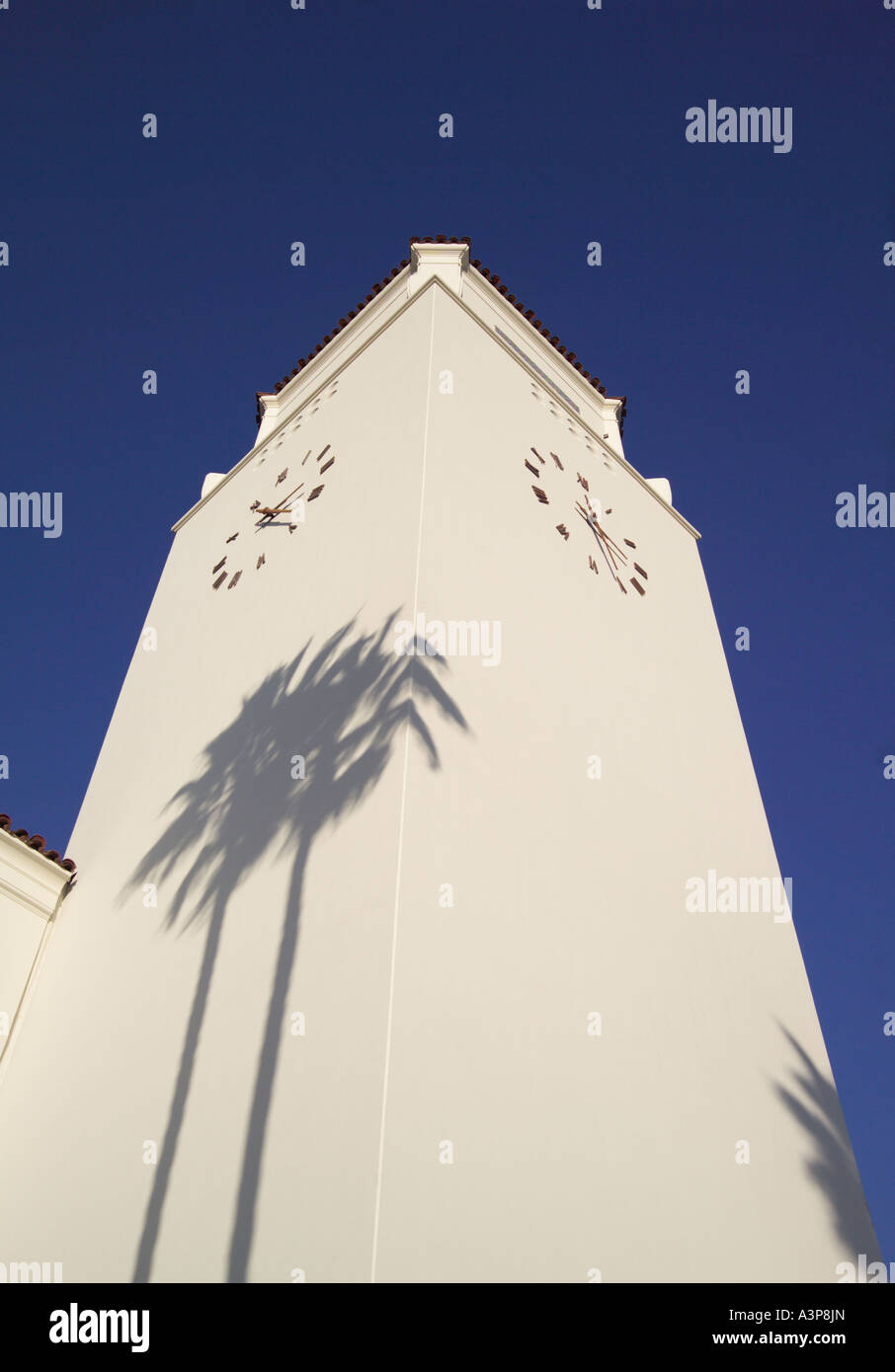 Palm Tree Clock Stock Photo - Alamy