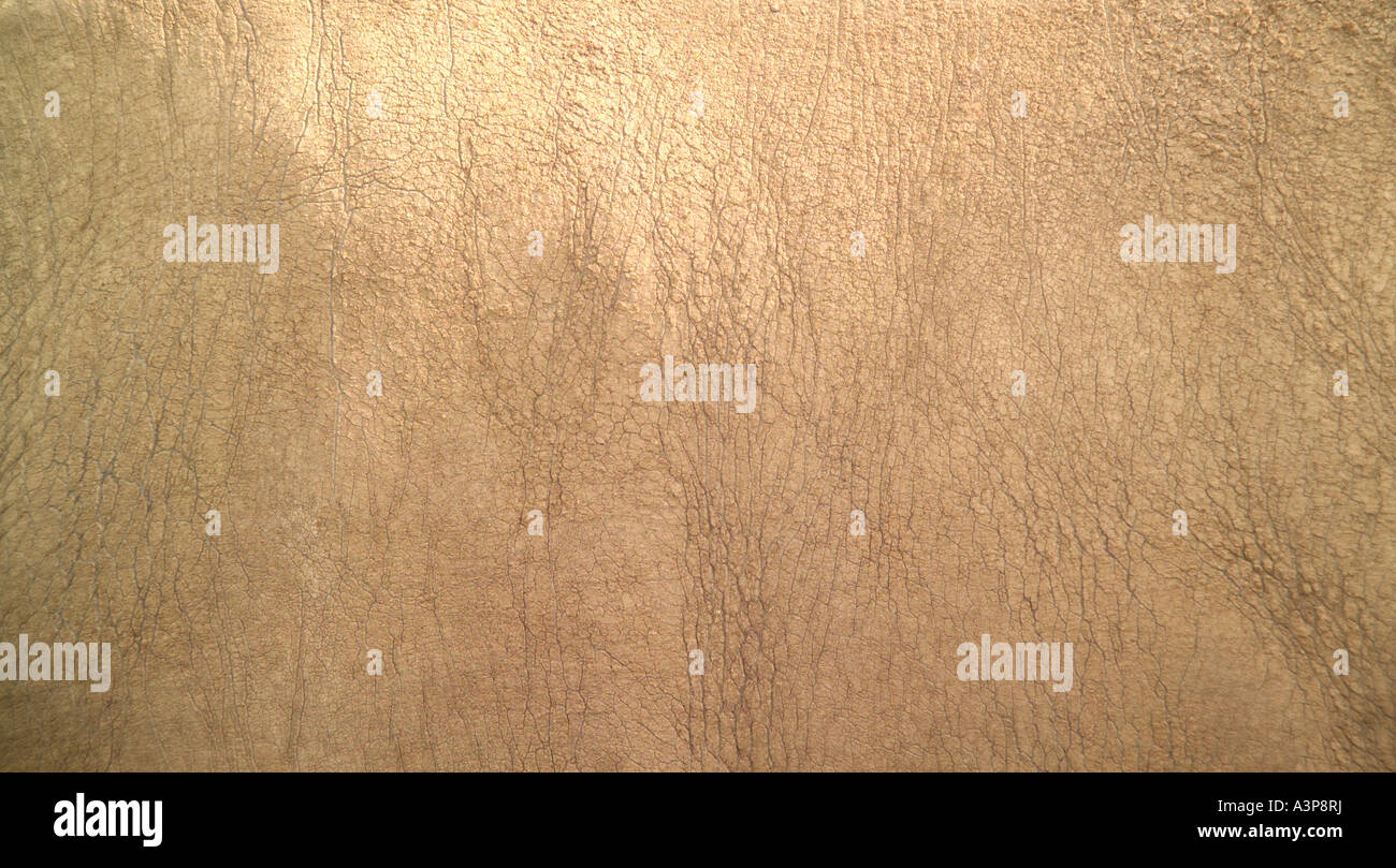 Brown wrinkly skin hi-res stock photography and images - Alamy