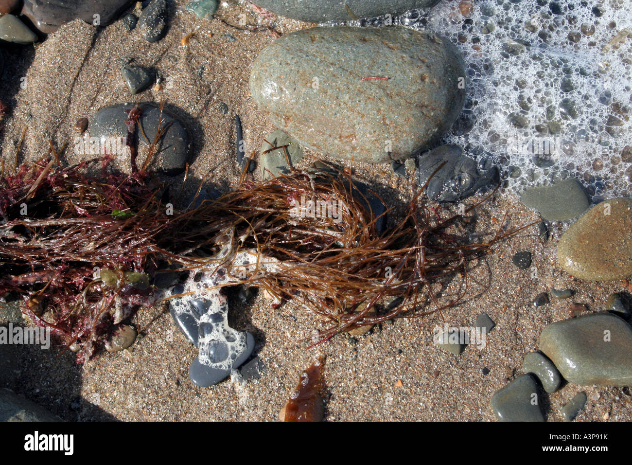 Sea water creeping Stock Photo - Alamy
