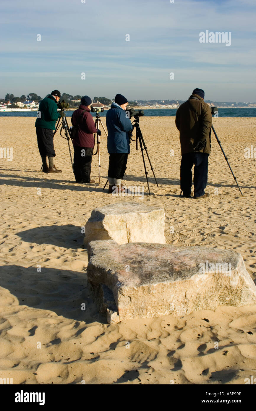 Birdwatchers on Shell Bay Beach, Studland, Isle of Purbeck, Dorset, UK ...