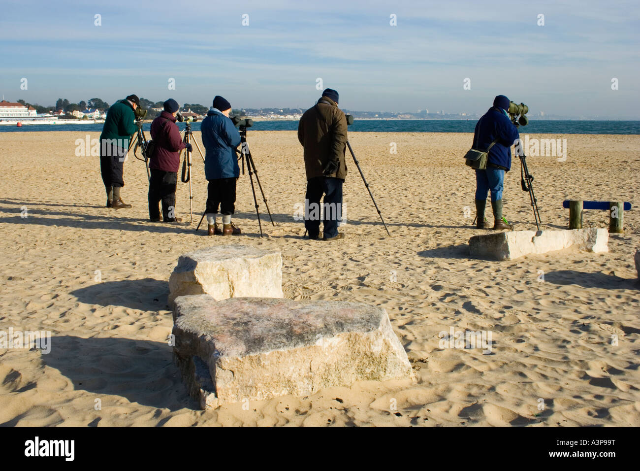 Birdwatchers on Shell Bay Beach, Studland, Isle of Purbeck, Dorset, UK ...