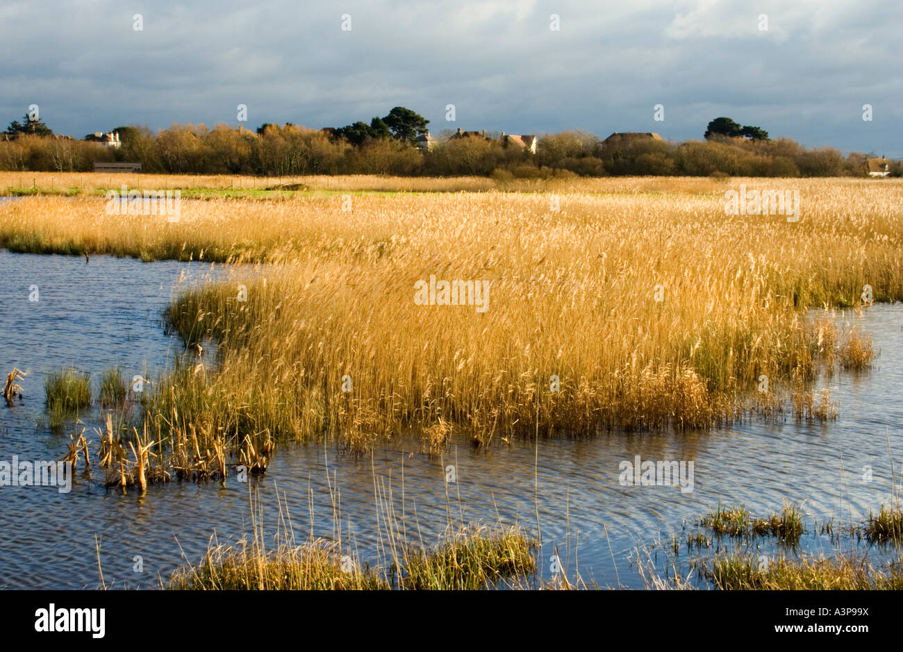 Titchfield Haven "National Nature Reserve", Hampshire, UK Stock Photo ...