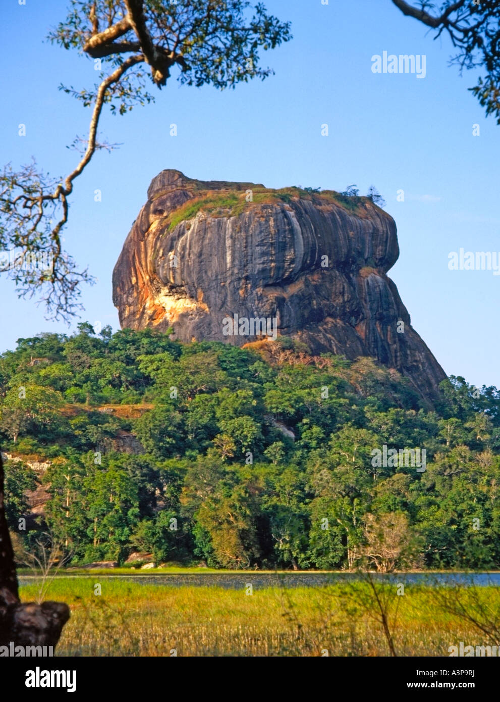 The Rock fortress and palace of Sigiriya, Sri Lanka Stock Photo - Alamy