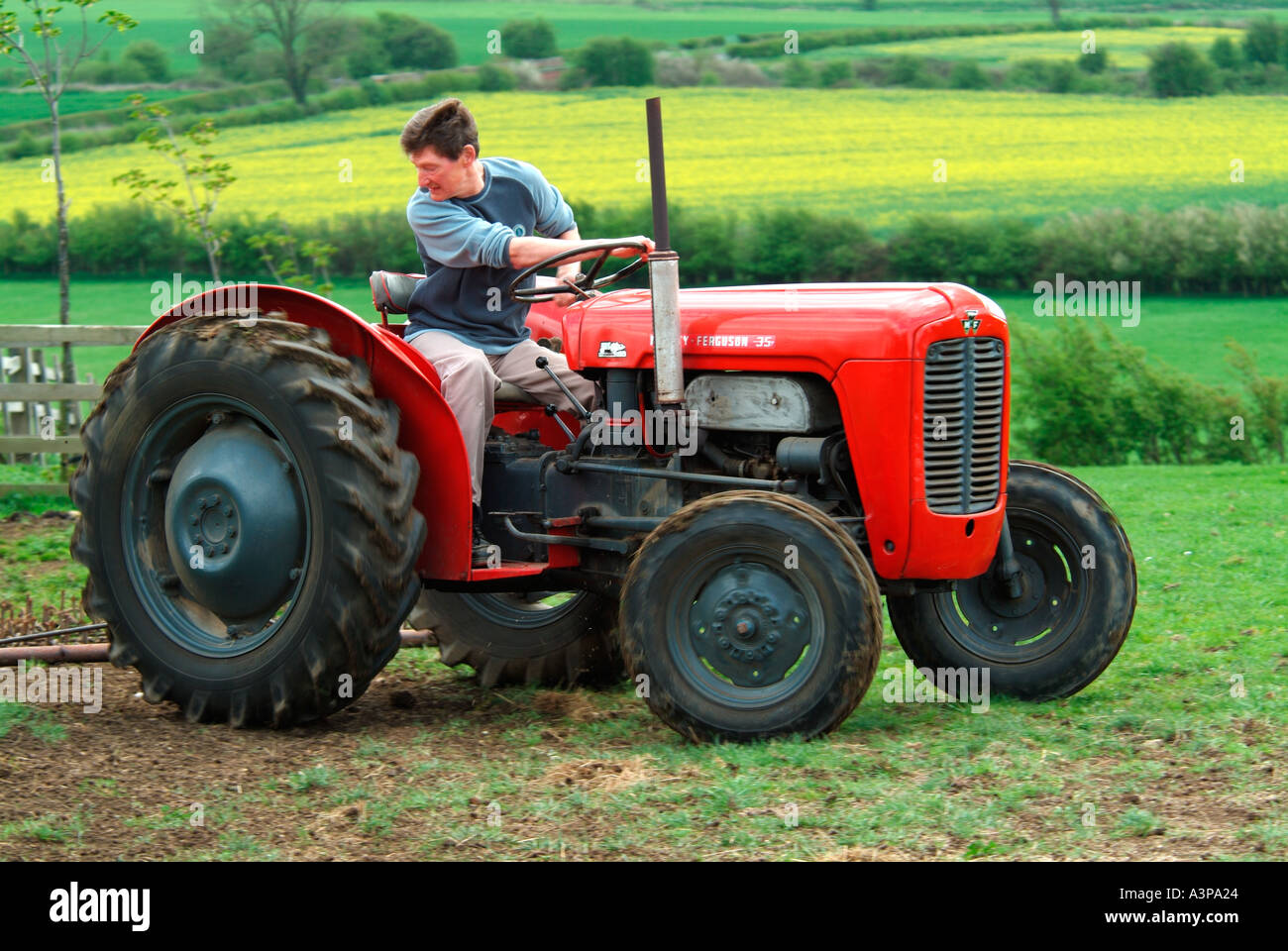 1959 Red Massey Ferguson FE35 tractor used today for pulling harrows ...