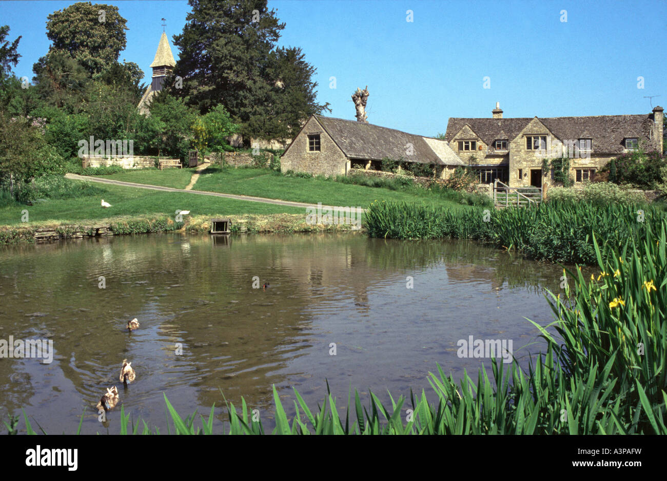 Village pond, Westwell, Oxfordshire Stock Photo - Alamy