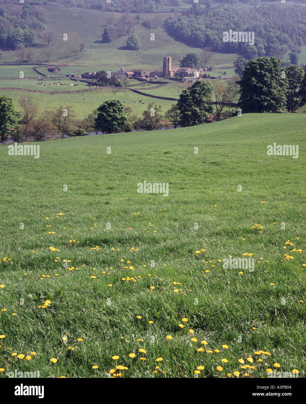 MARRICK PRIORY YORKSHIRE ENGLAND UK Stock Photo - Alamy