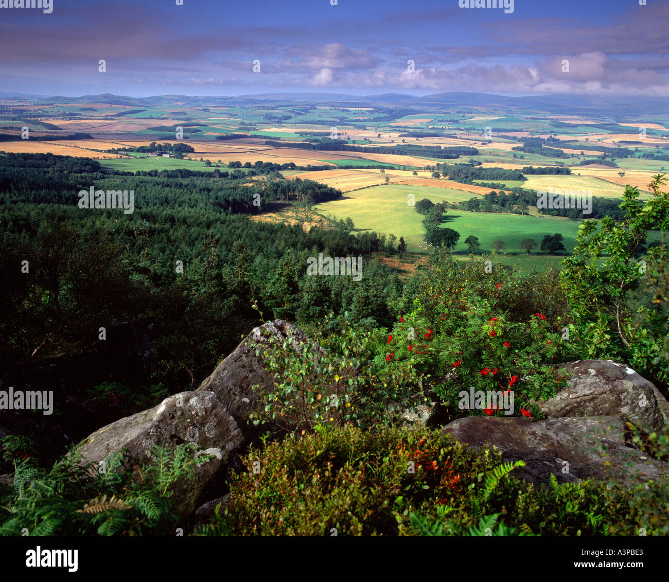 View West to Cheviots from Hepburn Crags, Northumberland, England Stock ...