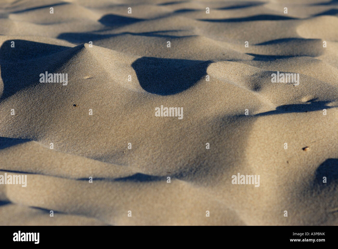Close up detail of sand Stock Photo - Alamy