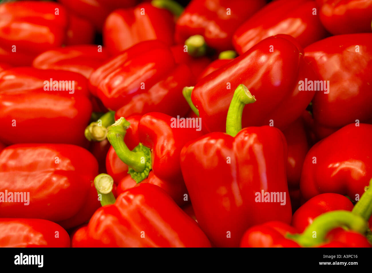 FRESH RED PEPPERS ON SUPERMARKET SHELF Stock Photo - Alamy