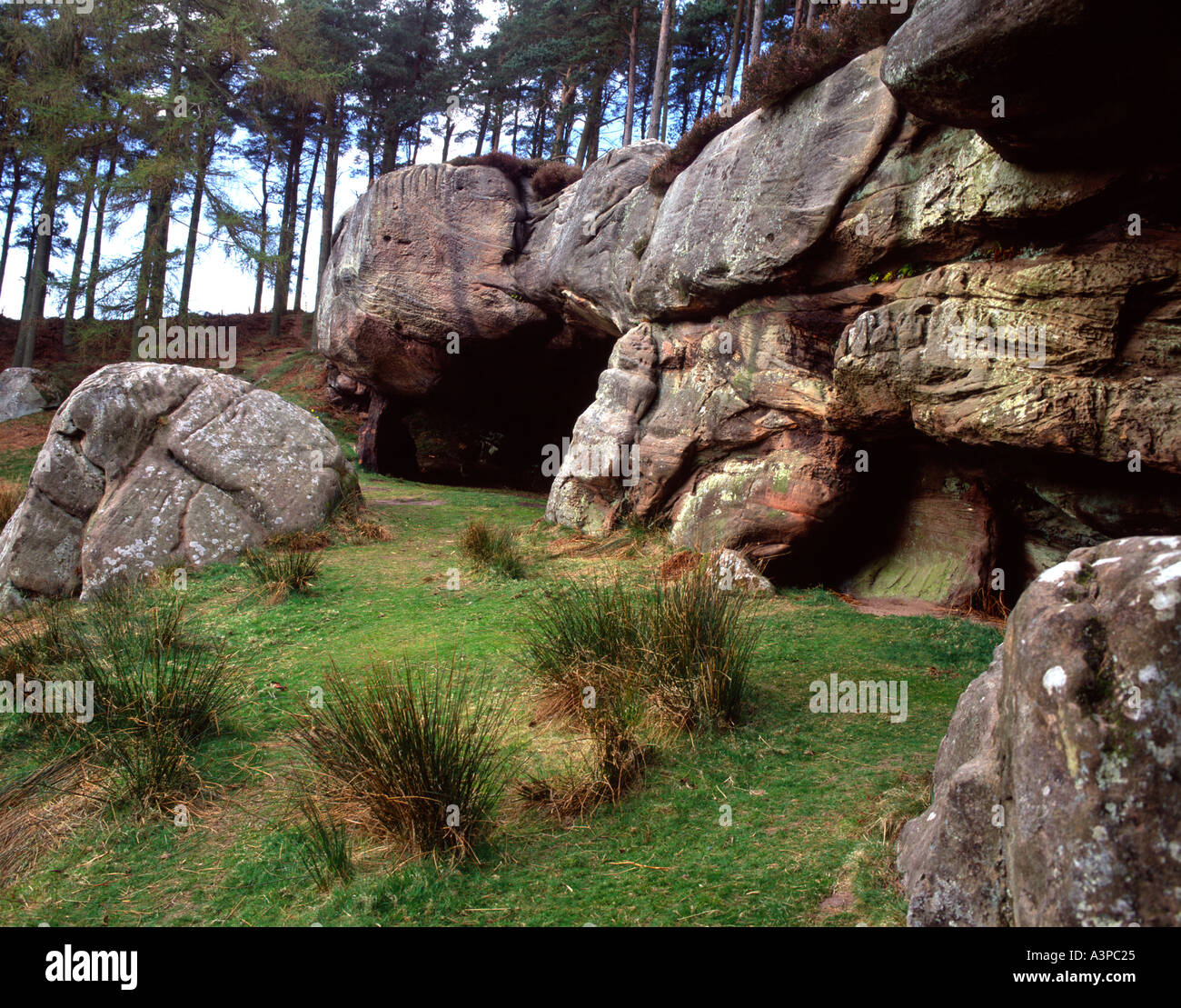 St Cuthbert's Cave, Kyloe Hills, Northumberland Stock Photo - Alamy